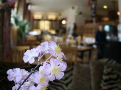New Samsi, Manchester